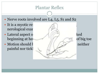 Applied aspect regarding the sole of foot | PPTX