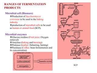 Applied biology for Competitive Exams | PPTX