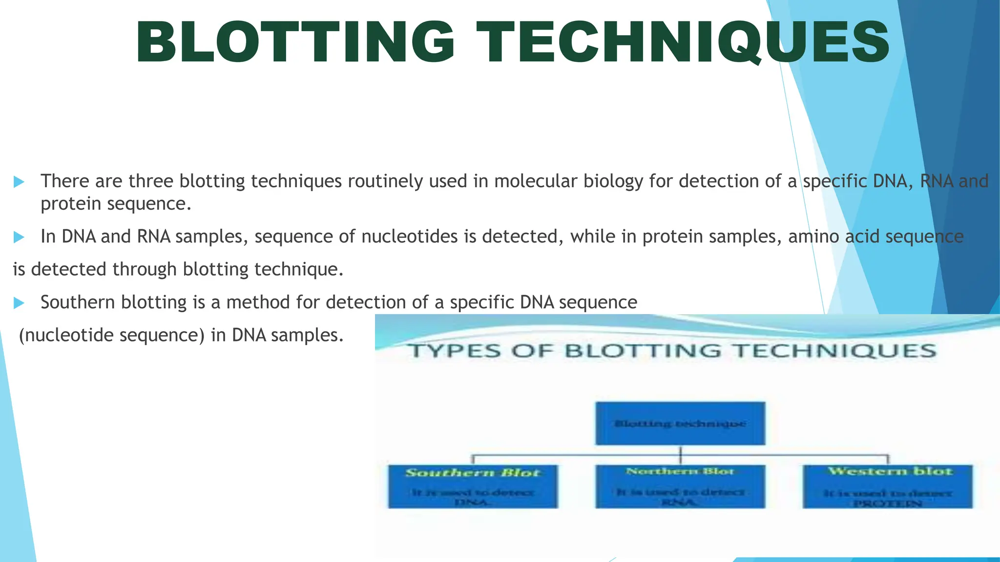 Applied biotechnique.pptx