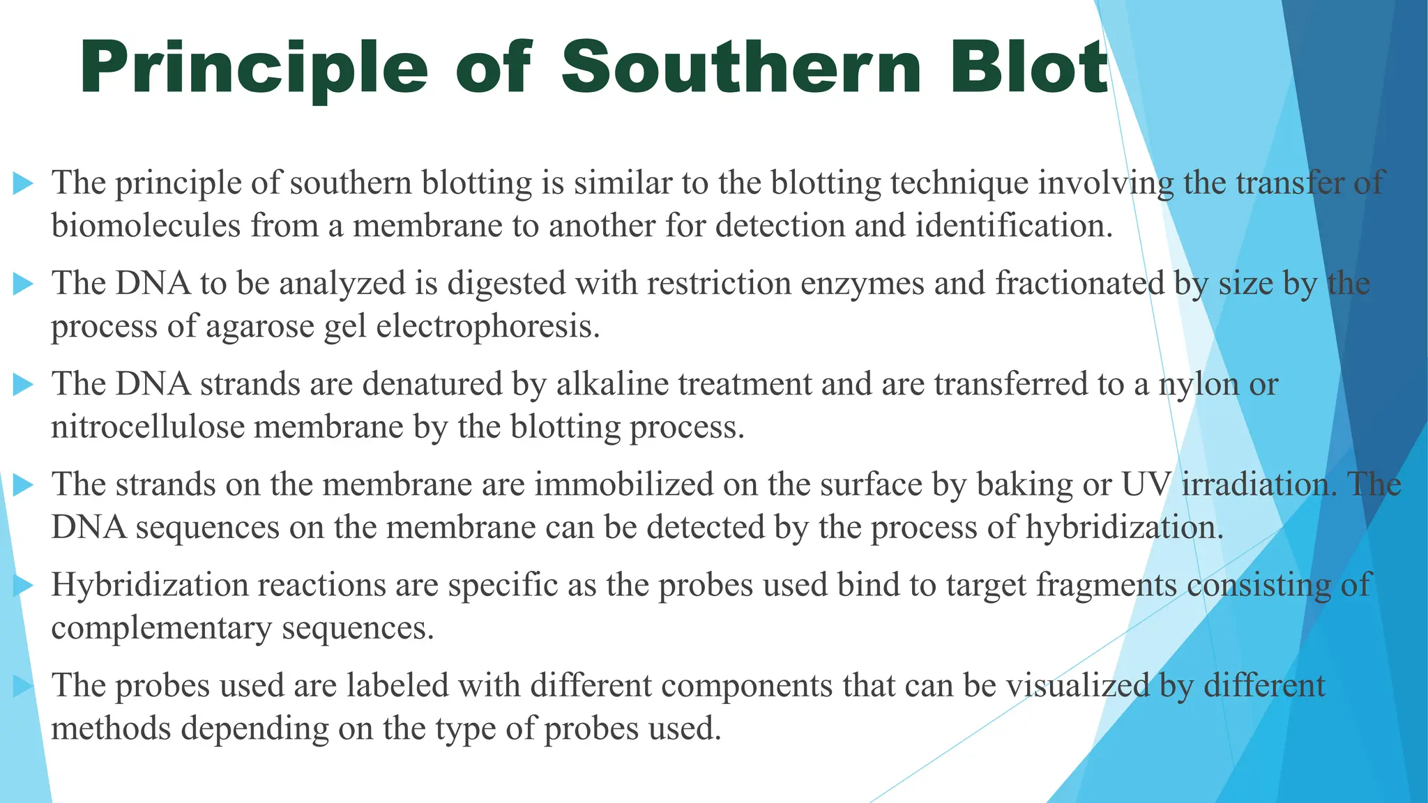 Applied biotechnique.pptx