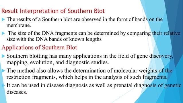 Applied biotechnique.pptx