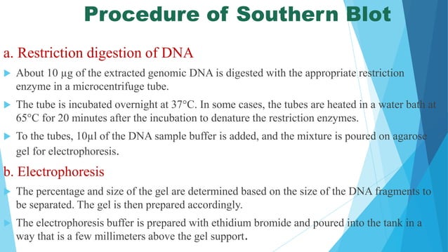 Applied biotechnique.pptx
