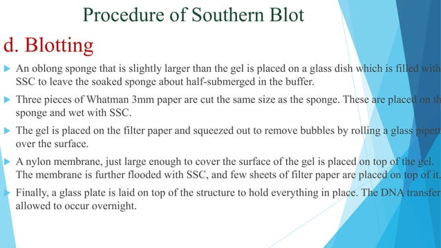 Applied biotechnique.pptx