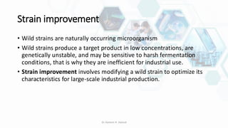 Applied Biotechnology Lecture 2: industrial strains and growth cycle | PDF