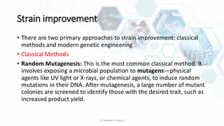 Applied Biotechnology Lecture 2: industrial strains and growth cycle | PDF