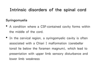 Applied cross sectional anatomy of spinal cord | PDF