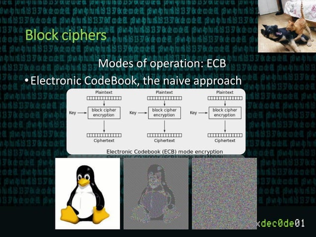 Applied cryptanalysis - everything else | PPT