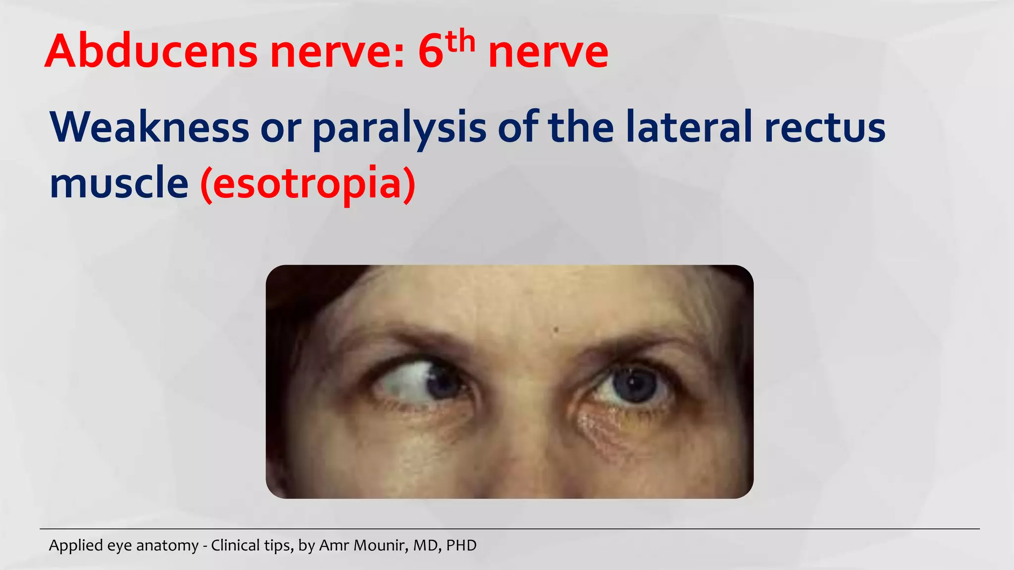 Applied eye anatomy...clinical tips | PPTX