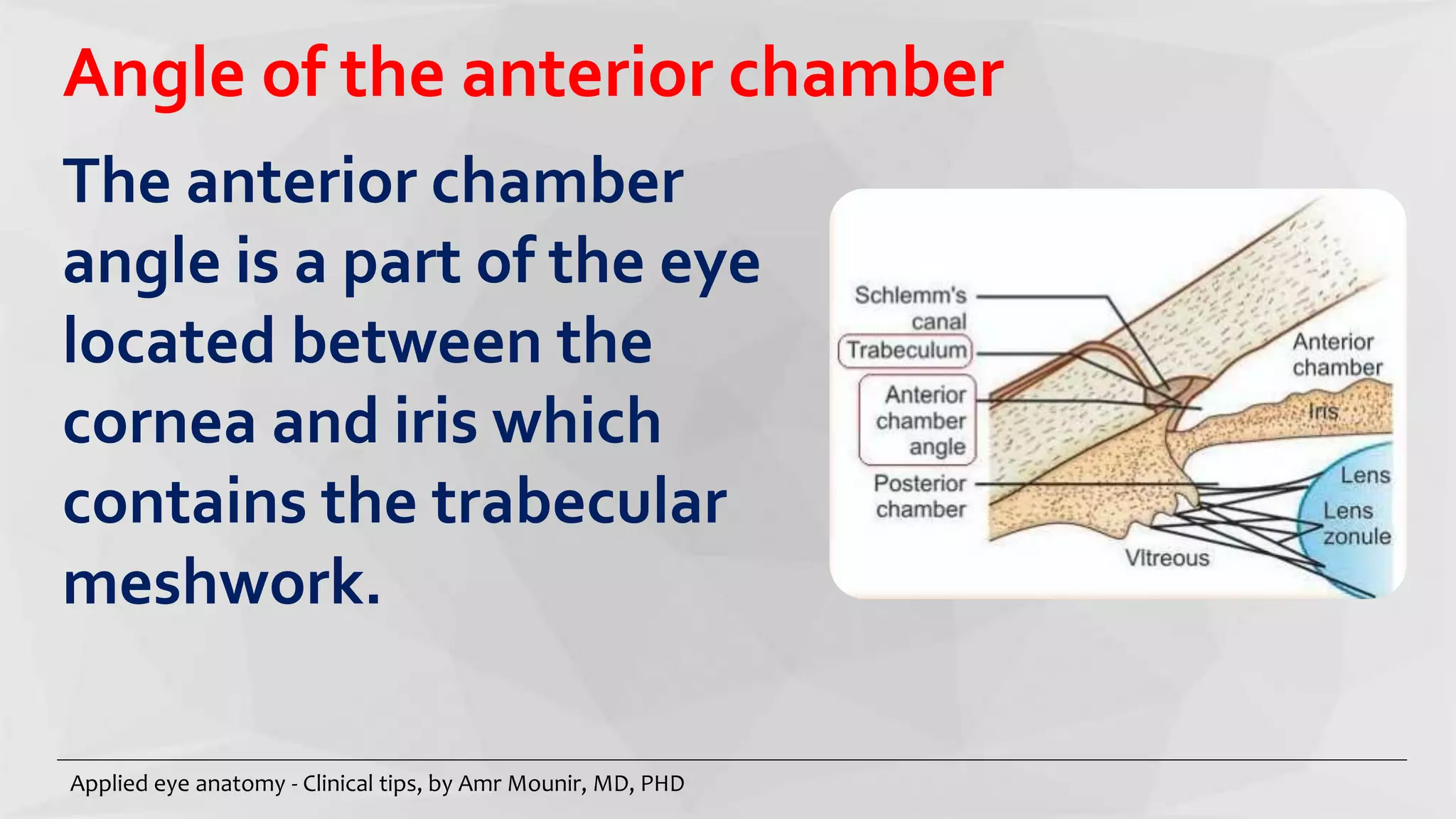 Applied eye anatomy...clinical tips | PPTX