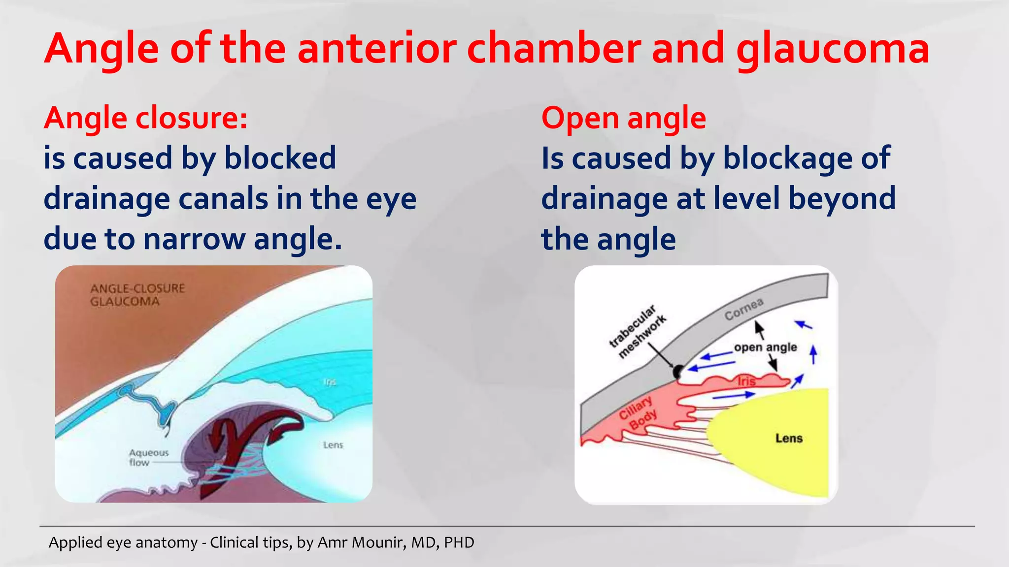 Applied eye anatomy...clinical tips | PPTX