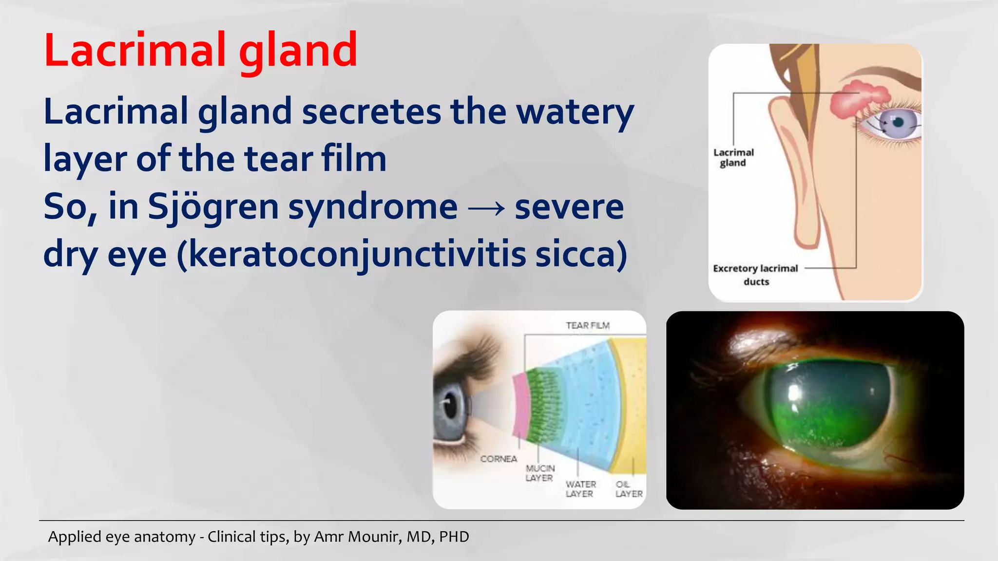 Applied eye anatomy...clinical tips | PPTX