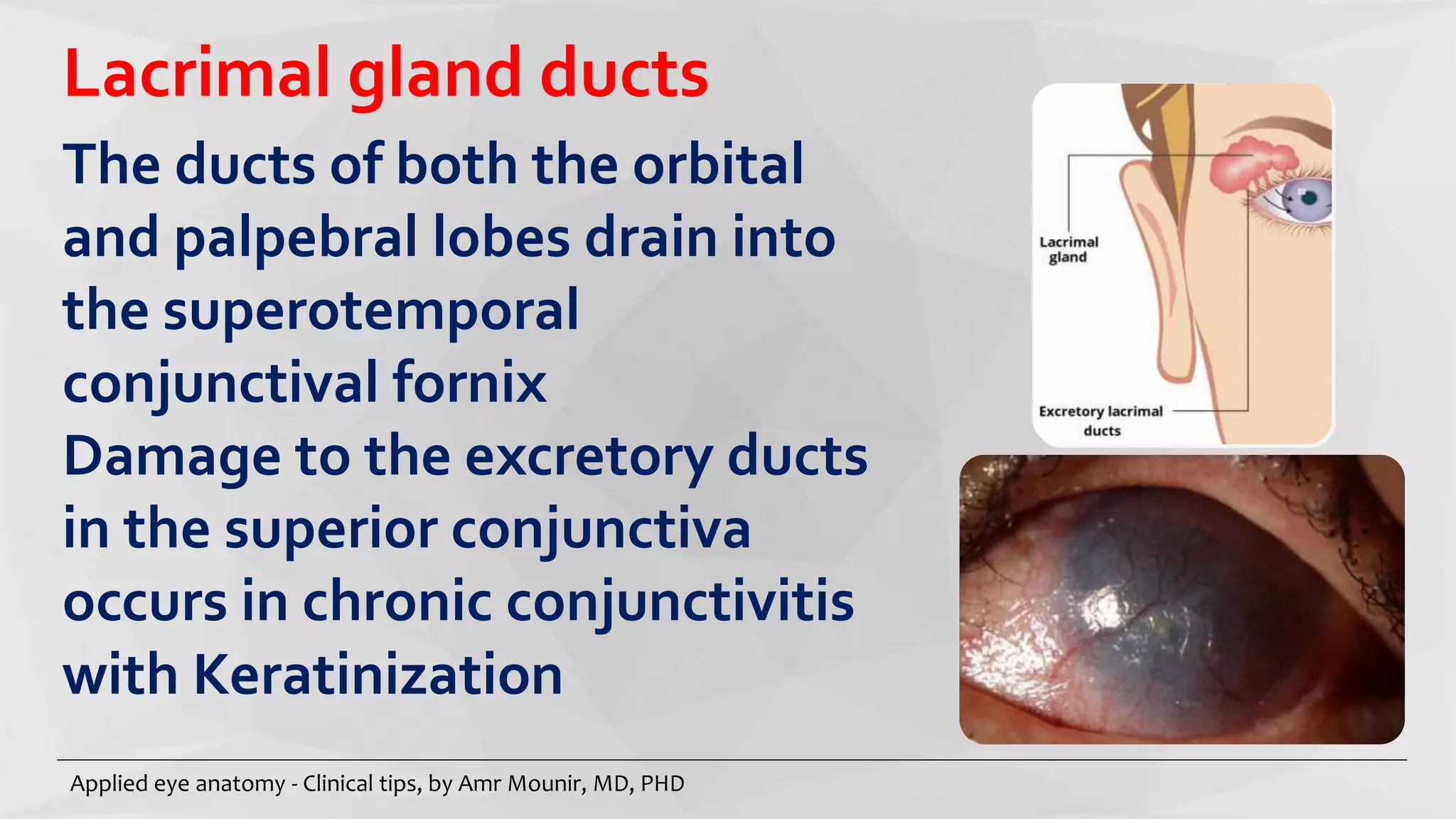 Applied eye anatomy...clinical tips | PPTX