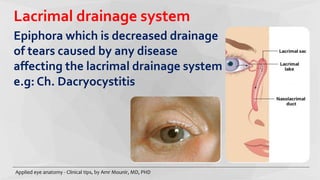 Applied eye anatomy...clinical tips | PPTX