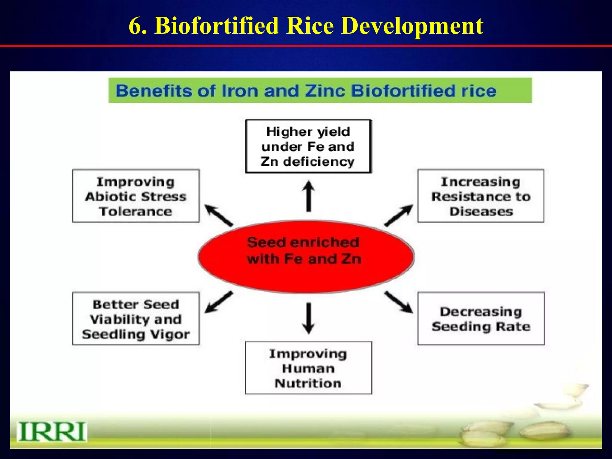 Applied genomic research in rice genetic improvement (2) | PPT