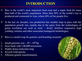 Applied genomic research in rice genetic improvement (2) | PPT