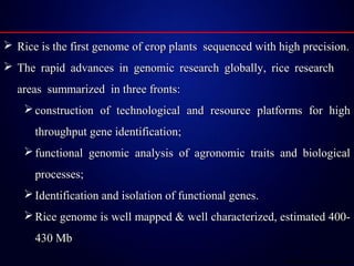 Applied genomic research in rice genetic improvement (2) | PPT