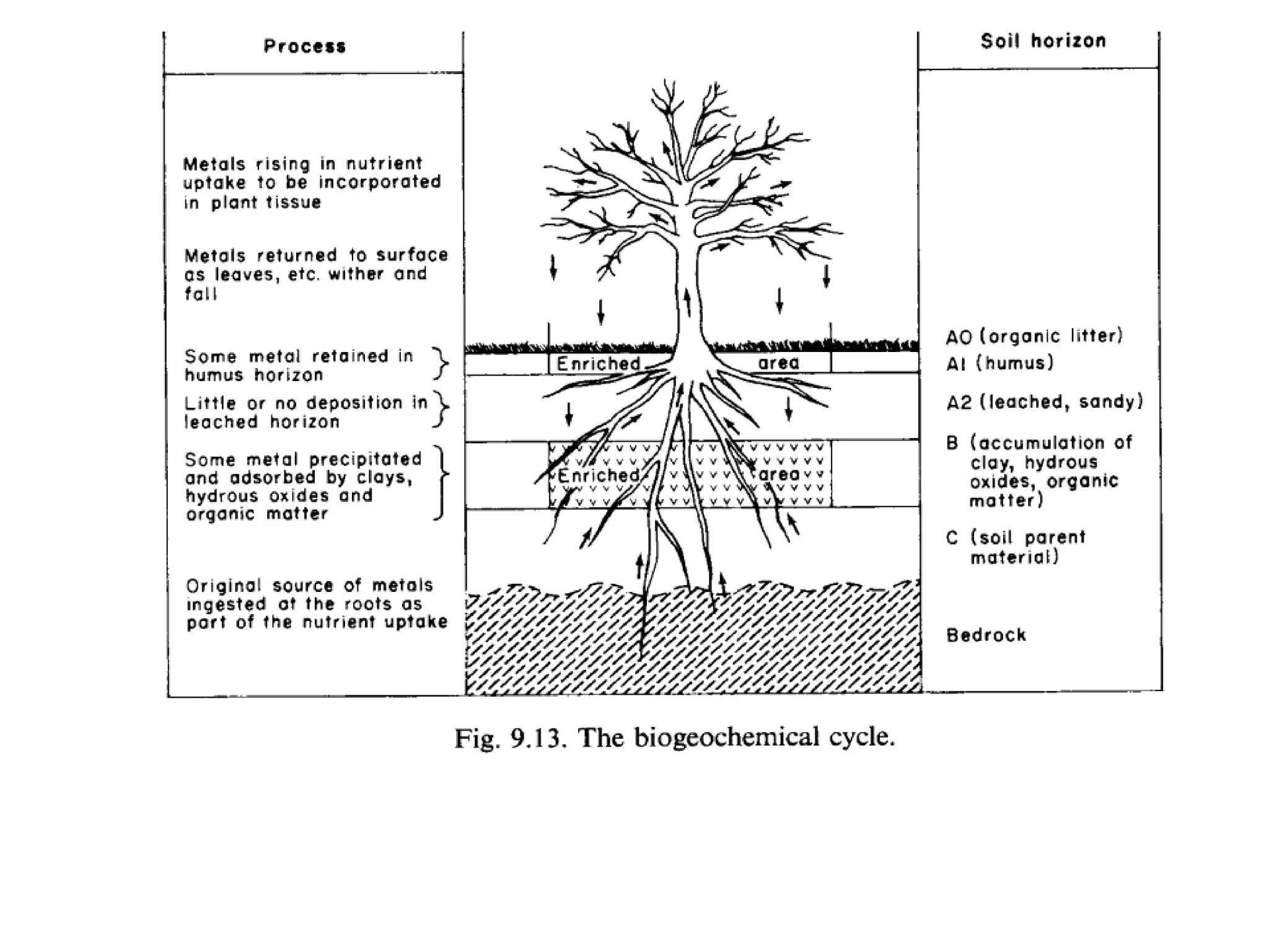 Applied Geochemistry.ppt