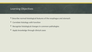 APPLIED HISTOLOGY of gi tract2025-04-11.pptx