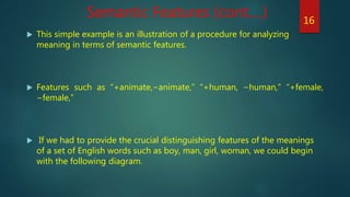 Word Meaning (Semantics, Semantic Features and Prototype) | PPTX