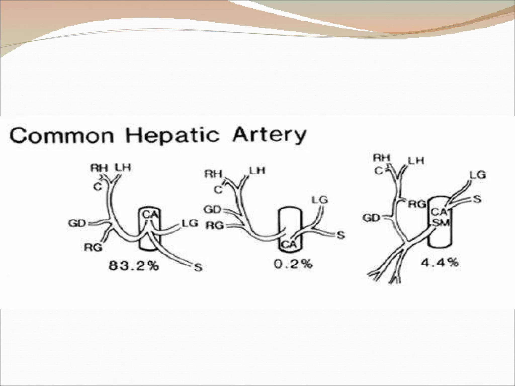 Liver Trauma | PPT