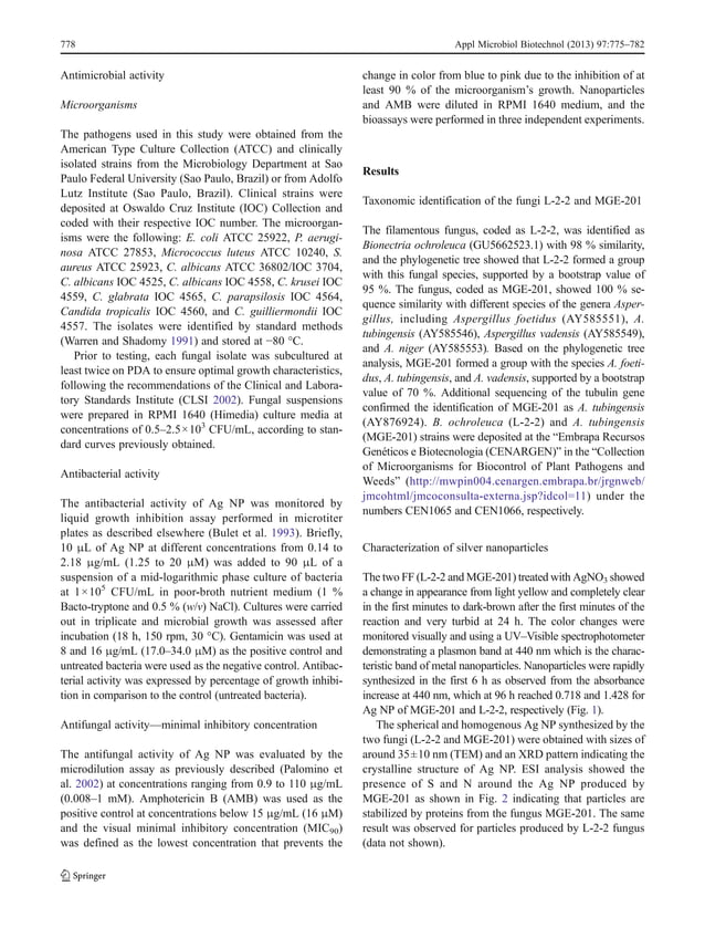 Biogenic antimicrobial silver nanoparticles produced by fungi | PDF