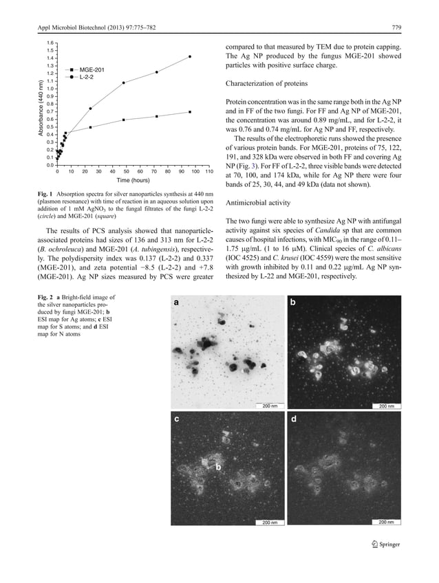 Biogenic antimicrobial silver nanoparticles produced by fungi | PDF