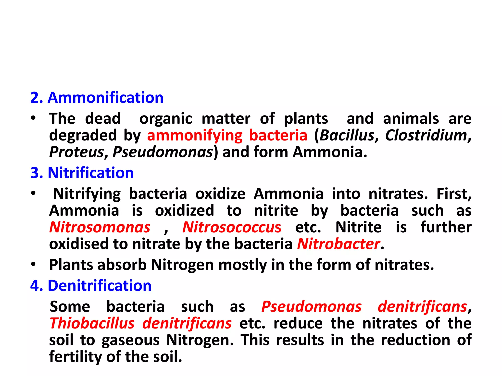 Applied Microbiology - Role of microbes in Nitrogen cycle ...