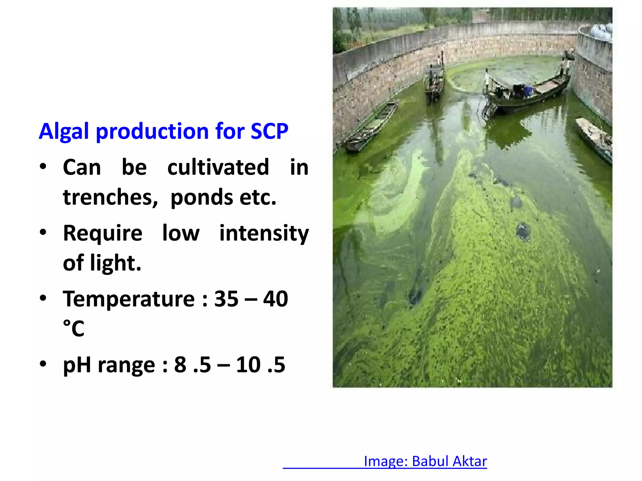 Applied Microbiology - Role of microbes in Nitrogen cycle ...