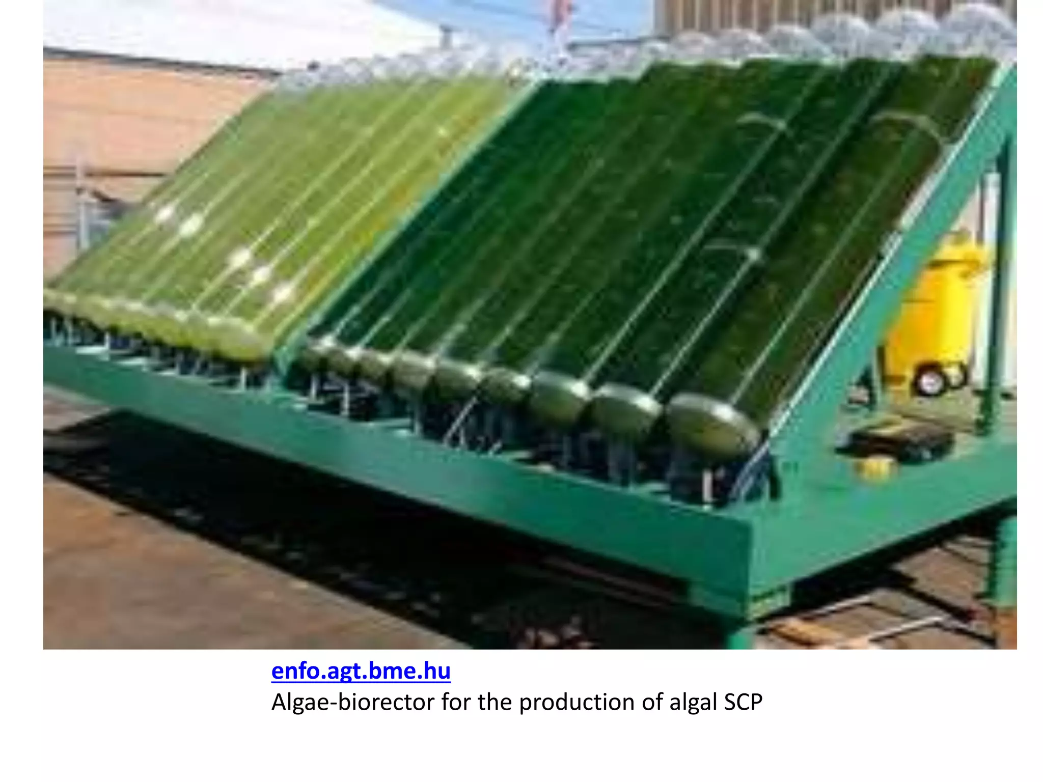 Applied Microbiology - Role of microbes in Nitrogen cycle ...