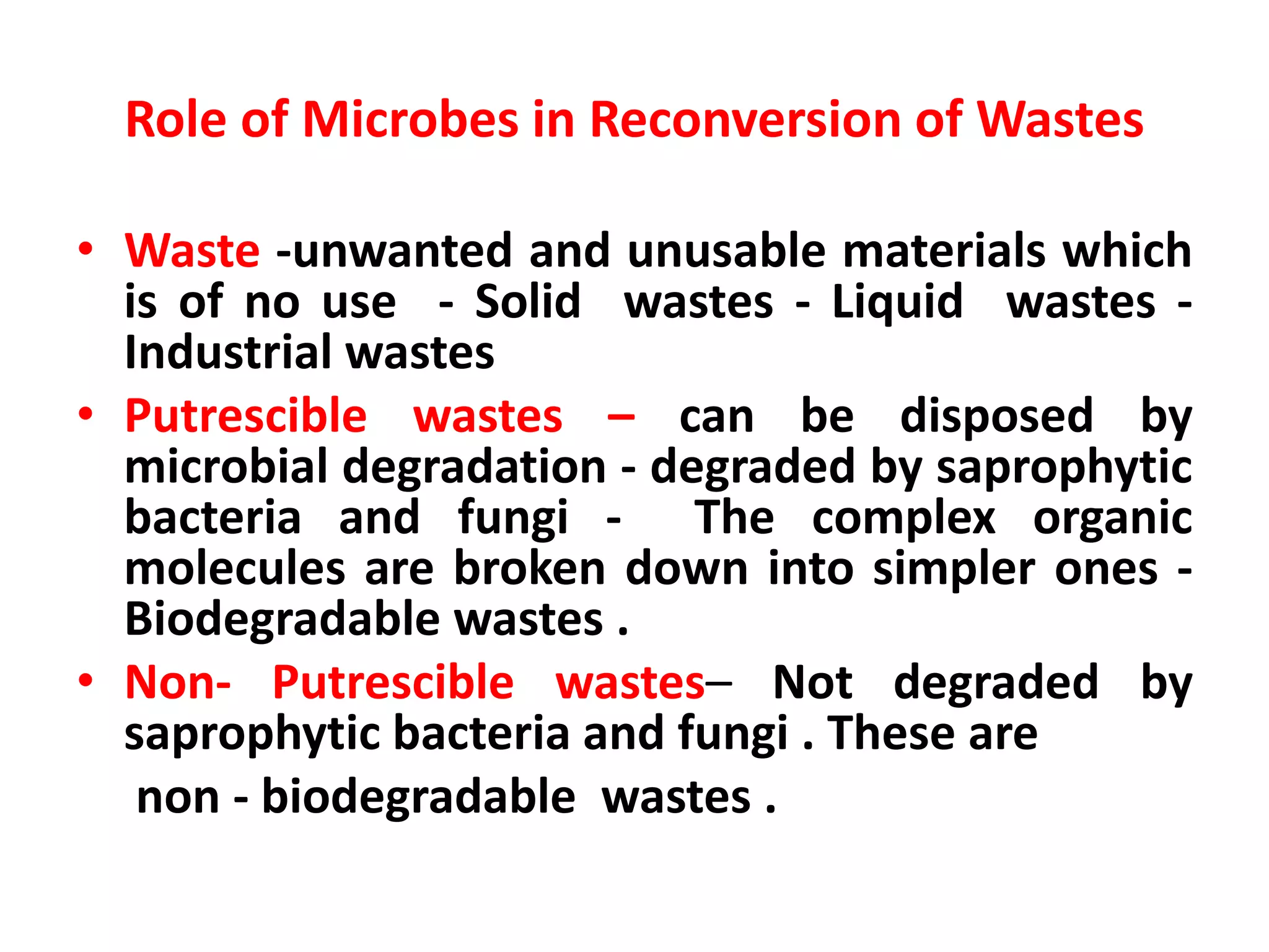 Applied Microbiology - Role of microbes in Nitrogen cycle ...