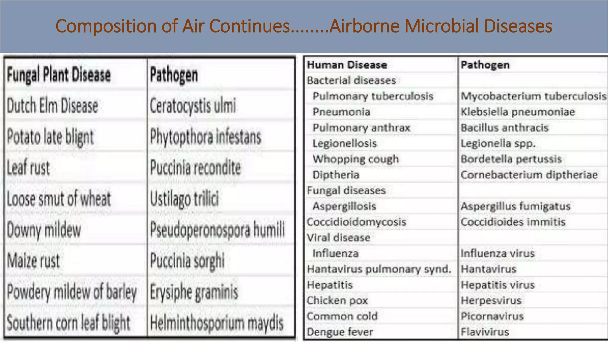 Applied microbioogy Paper VI | PPTX