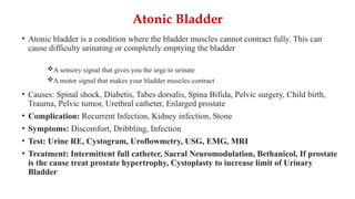 Applied Neuroanatomy of Urinary Bladder.pptx