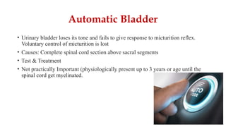 Applied Neuroanatomy of Urinary Bladder.pptx