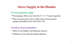 Applied Neuroanatomy of Urinary Bladder.pptx