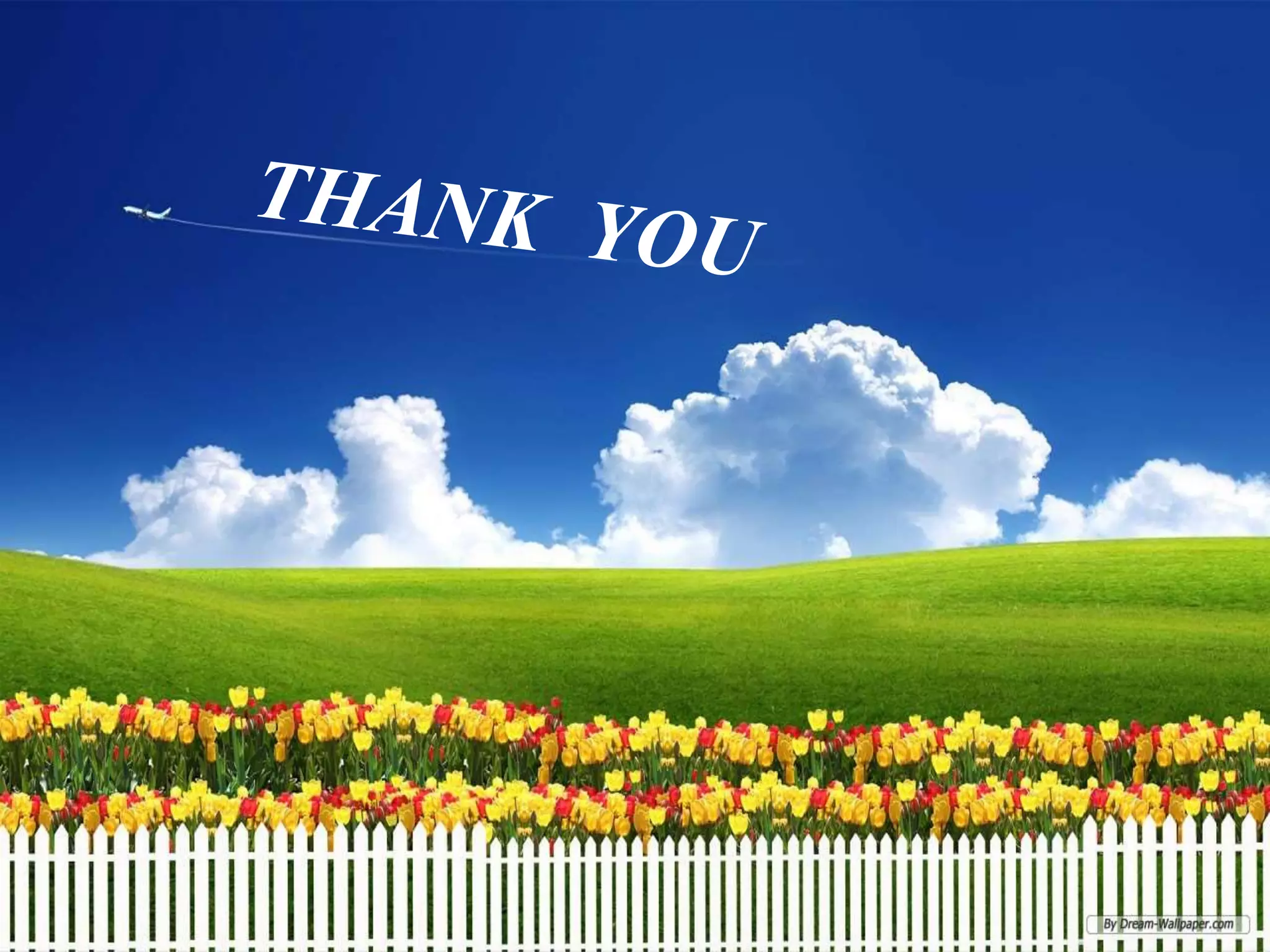 Applied nutritional programme | PPTX