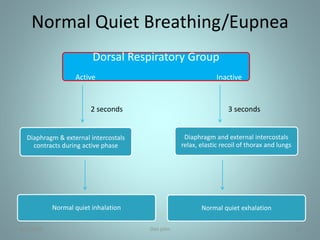 Applied physiology of Respiration | PPTX