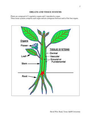 Applied physiology of horticultural crops | PDF