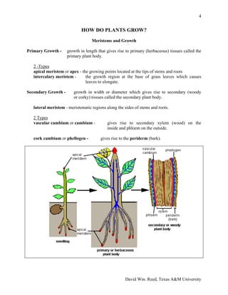 Applied physiology of horticultural crops | PDF