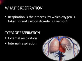 Applied physiology of respiration | PPTX