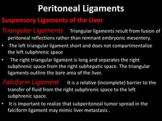 Applied radiological anatomy of retroperitoneum and peritoneal spaces ...