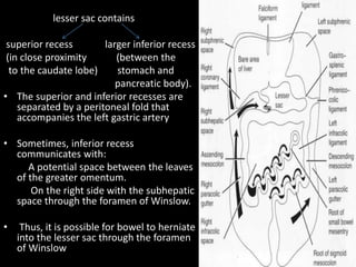 Applied radiological anatomy of retroperitoneum and peritoneal spaces ...