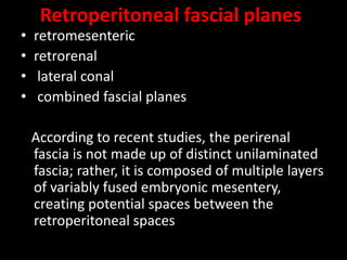 Applied radiological anatomy of retroperitoneum and peritoneal spaces ...