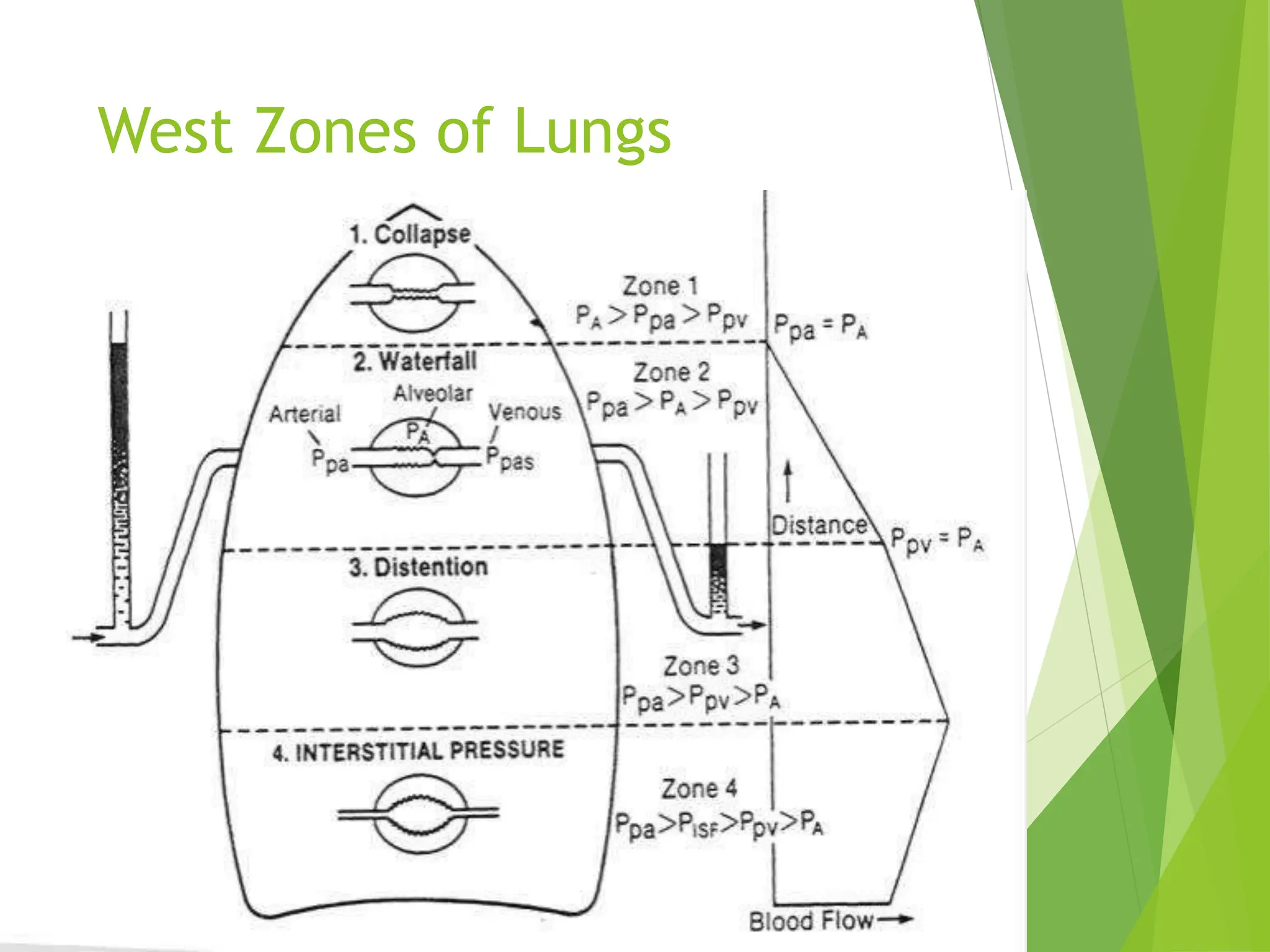 Applied respiratory physiology for Anaesthesiologist.pptx