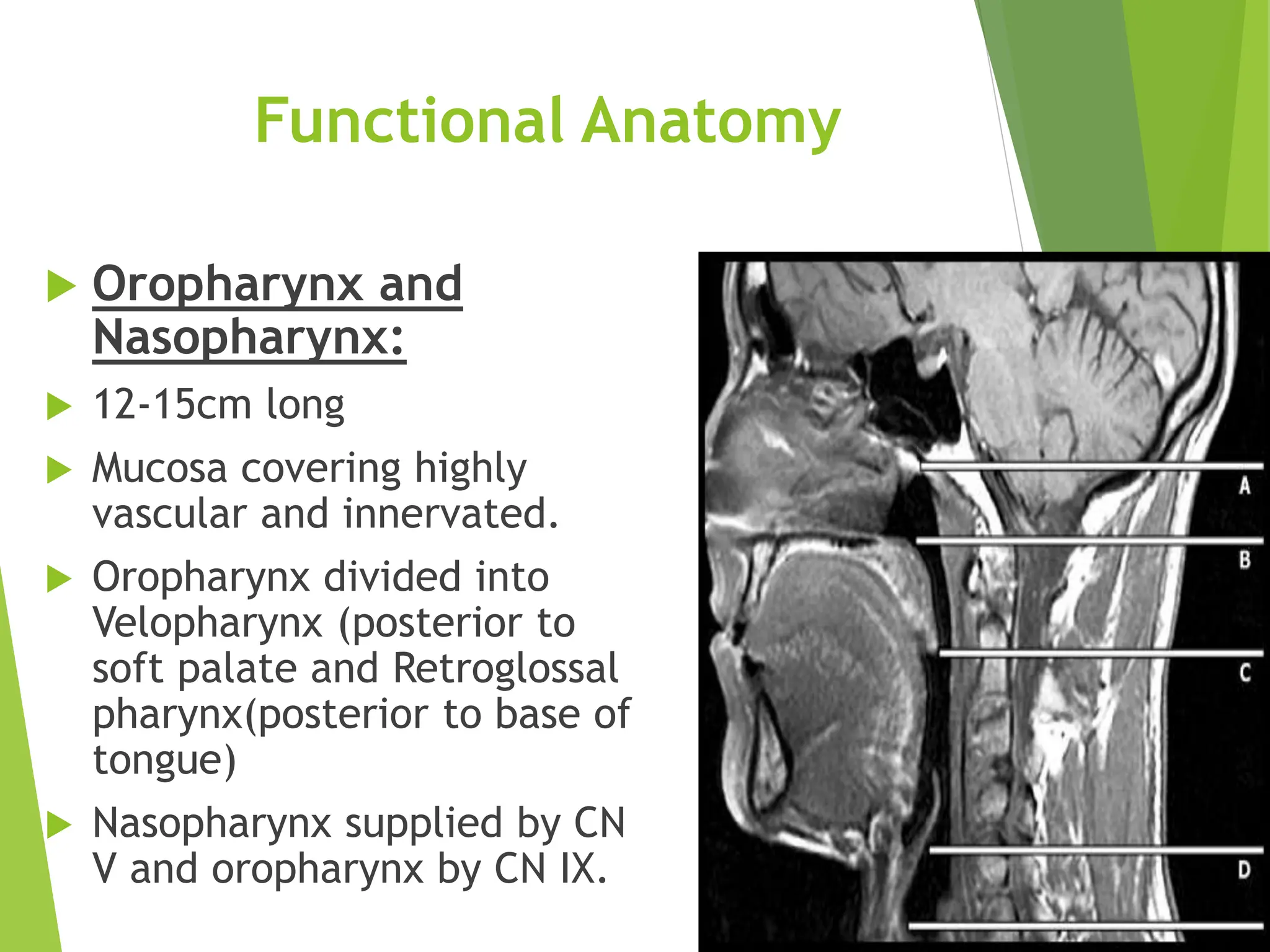 Applied respiratory physiology for Anaesthesiologist.pptx