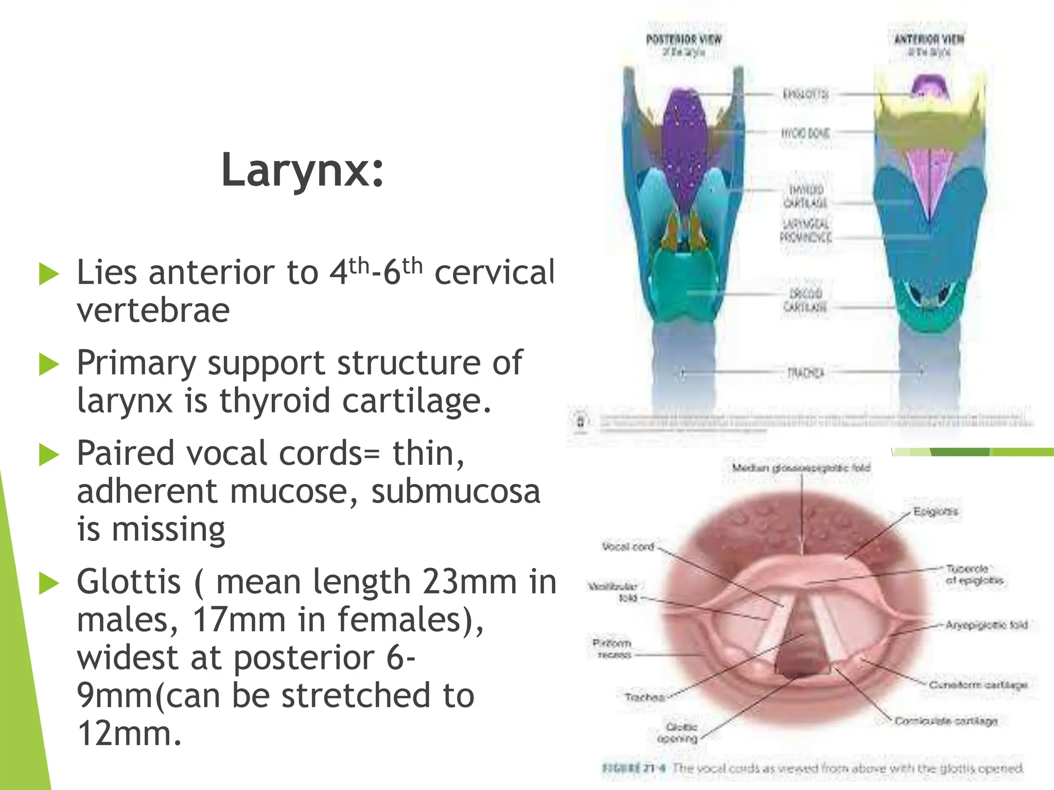 Applied respiratory physiology for Anaesthesiologist.pptx