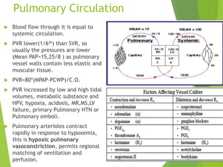 Applied respiratory physiology for Anaesthesiologist.pptx