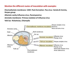 APPLIED VIROLOGY Embryo and CPE.sk.pptx
