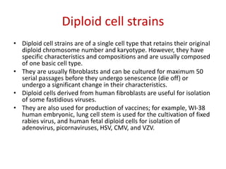 APPLIED VIROLOGY Embryo and CPE.sk.pptx