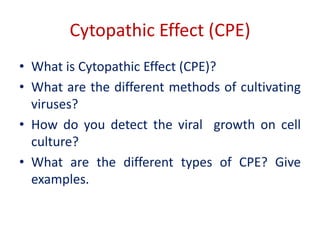 APPLIED VIROLOGY Embryo and CPE.sk.pptx