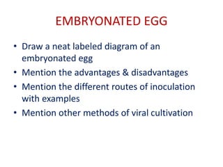 APPLIED VIROLOGY Embryo and CPE.sk.pptx